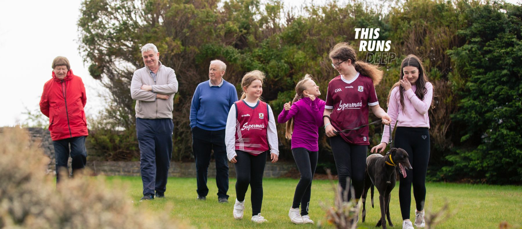 Greyhound Racing Ireland (GRI) - Rásaíocht Con Éireann, Formally Irish ...